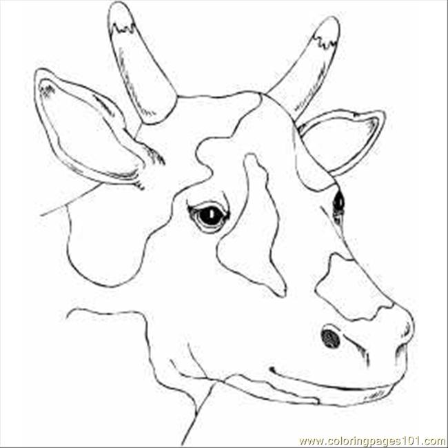 Cow head coloring pages