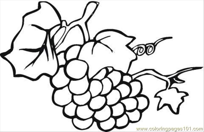 Grape Vine Coloring Page Coloring Pages