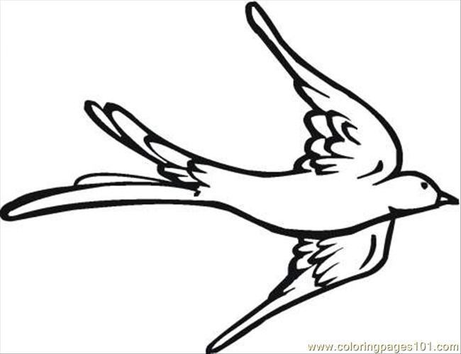 Swallow Bird Free Coloring Pages For Kids Sketch Coloring Page